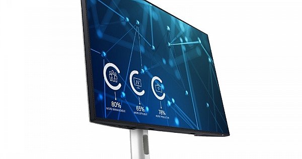 DELL U2421E USB-C UltraSharp IPS