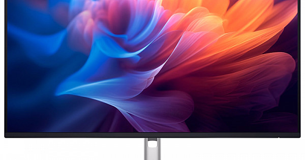 27 inch P2725H 100Hz Professional IPS monitor